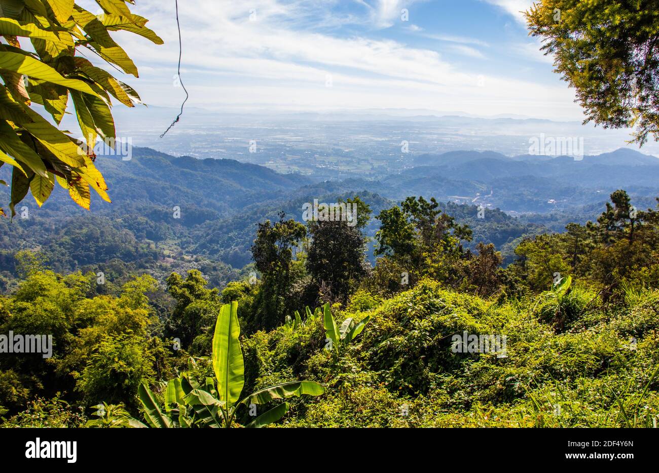 Doi Tung in The Chiang Rai Province North Thailand Stock Photo - Alamy