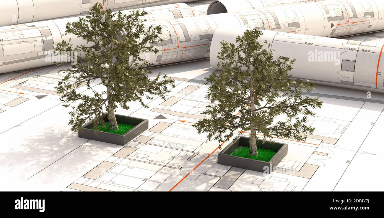 Landcsape architect. Trees on blueprint. Residential building garden ...