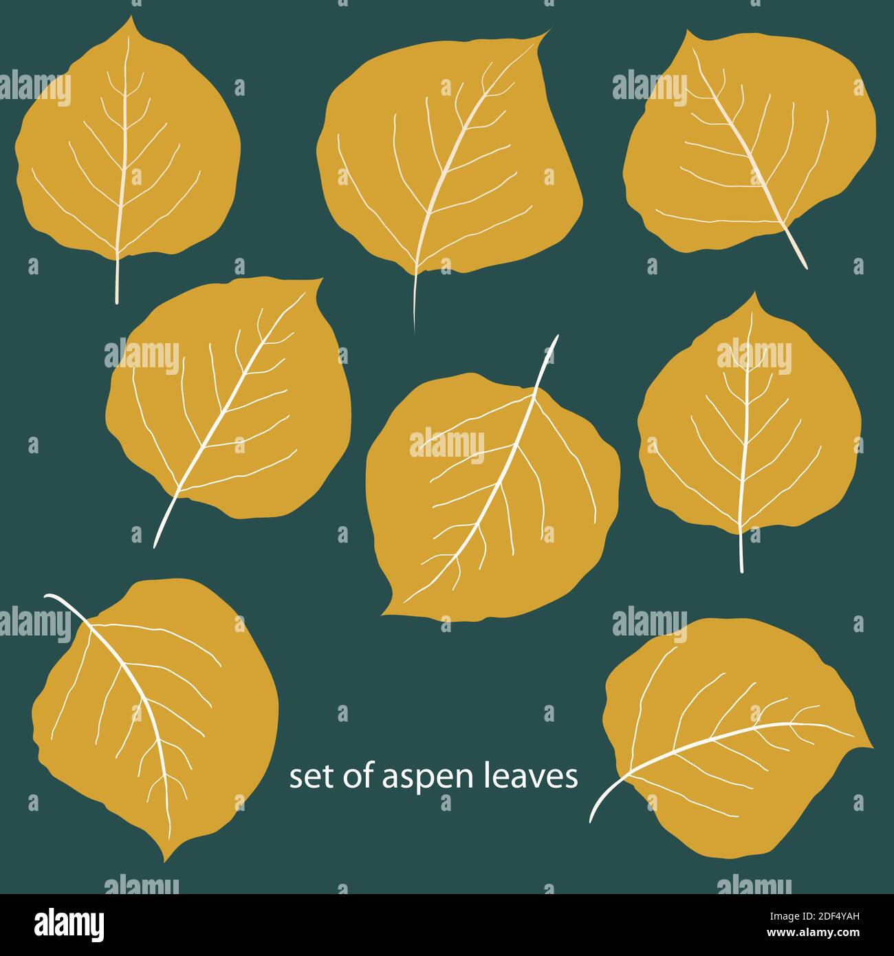Vector set of eight differently shaped golden aspen leaves. Hand drawn ...