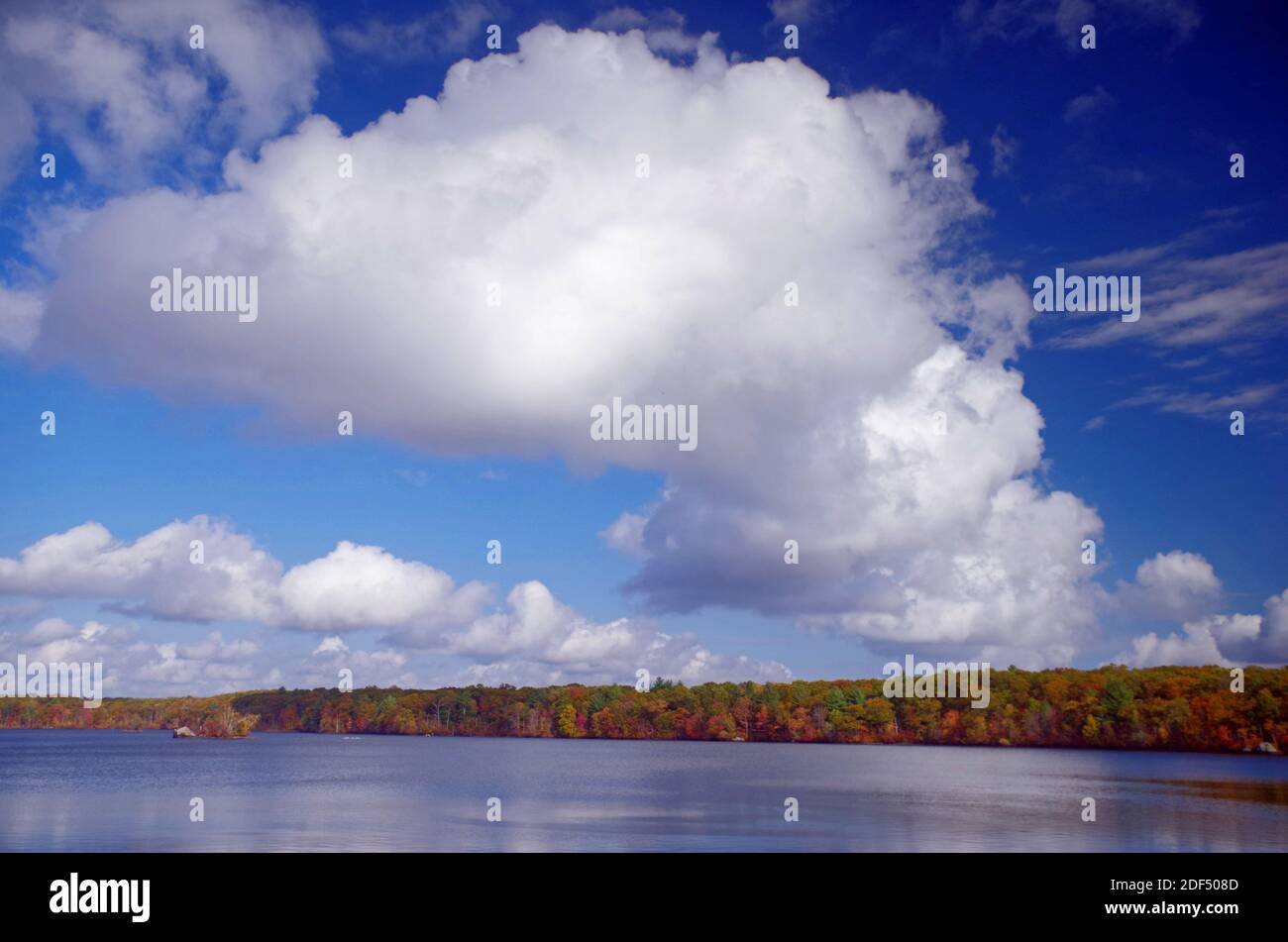 Over saturated hi-res stock photography and images - Alamy