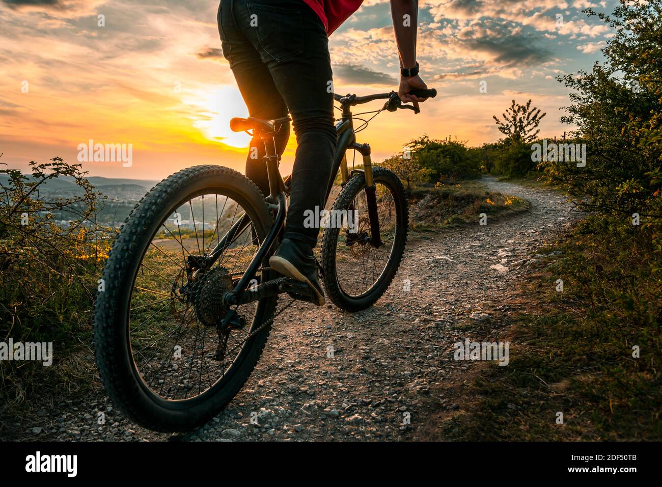Mountain biker on trail. Back shot of mountain biker at sunset on a ...