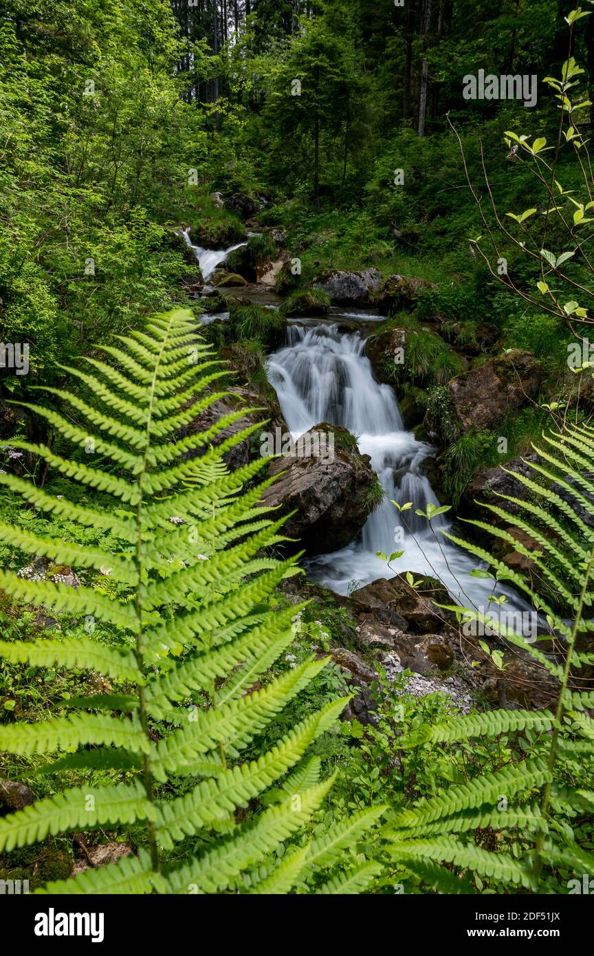 Mountain creek in Justistal Stock Photo - Alamy
