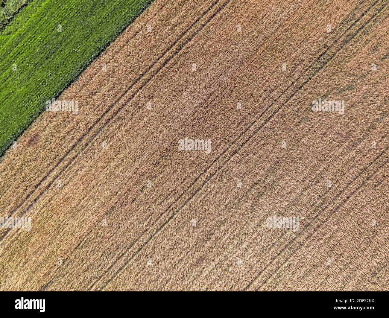Aerial view of uk farms and agriculture hi-res stock photography and ...