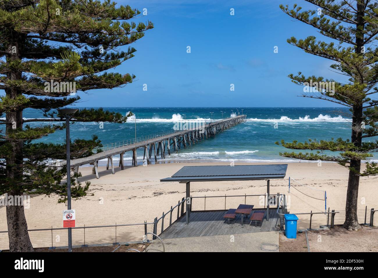 The iconic pine trees and the jetty on a rough day at port noarlunga ...