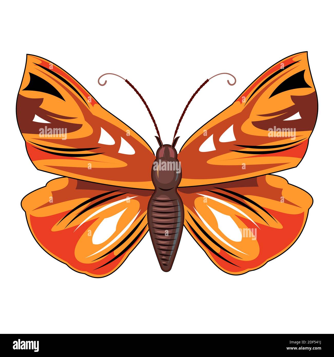 Orange butterfly. Bright beautiful composition. Isolated object on ...