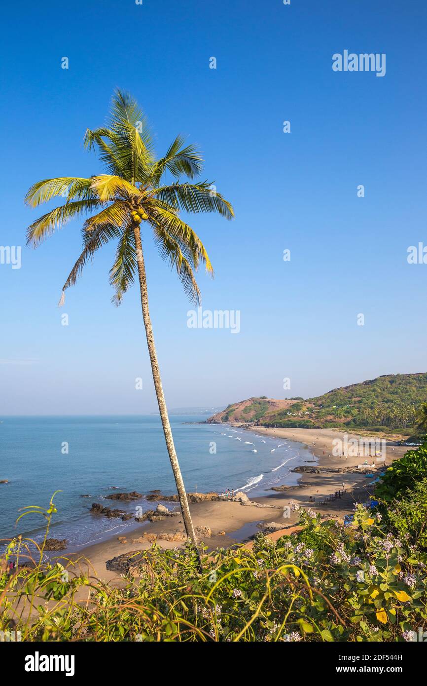 India, Goa, View of Vagator Beach Stock Photo - Alamy