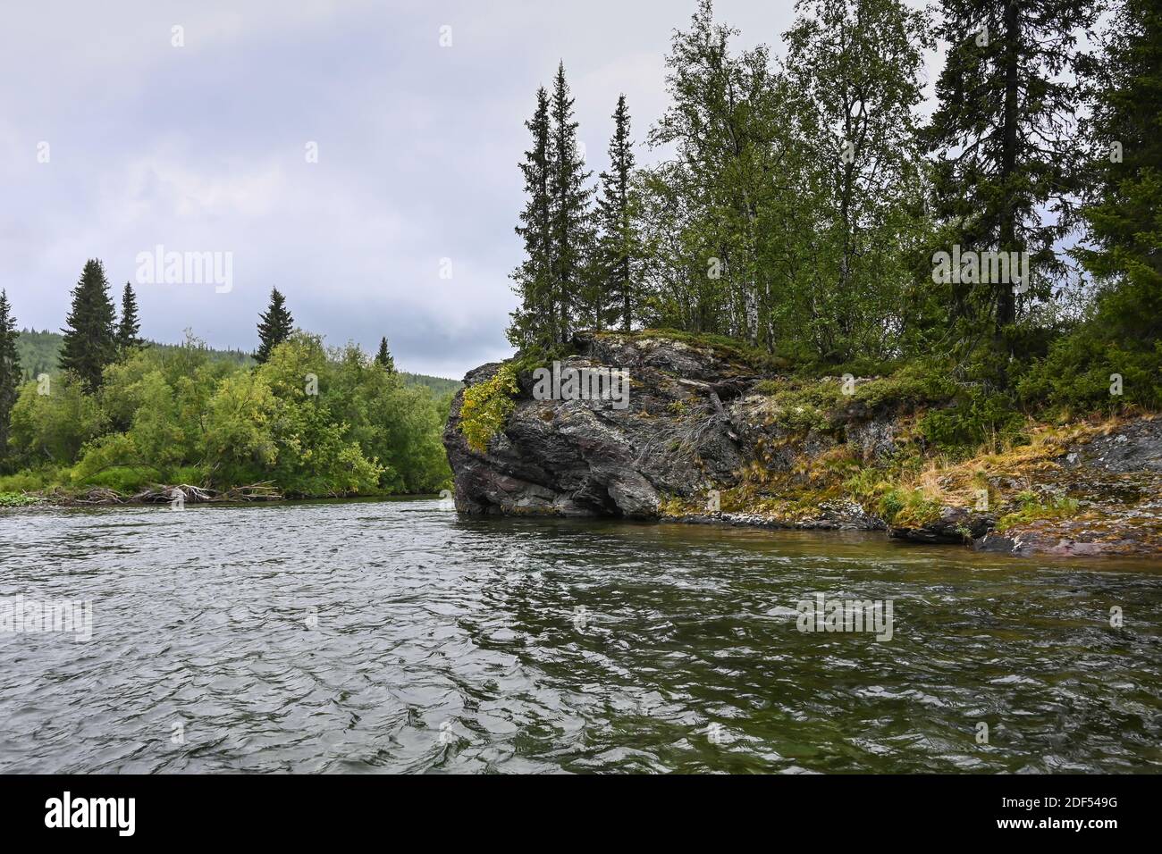 River in the Northern taiga. Summer water landscape in the Komi ...