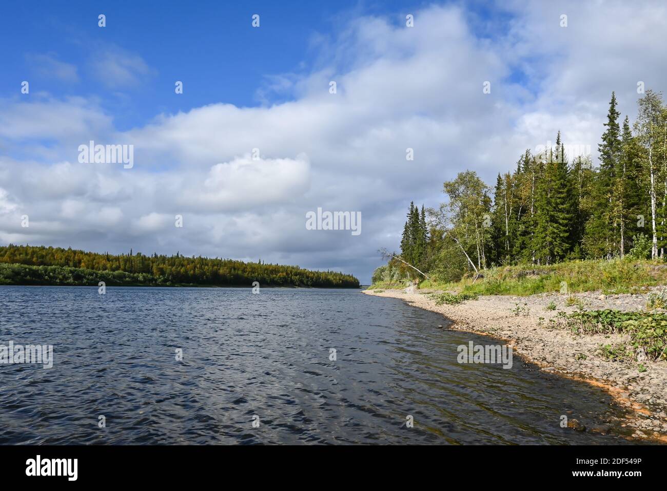 River in the Northern taiga. Summer water landscape in the Komi ...