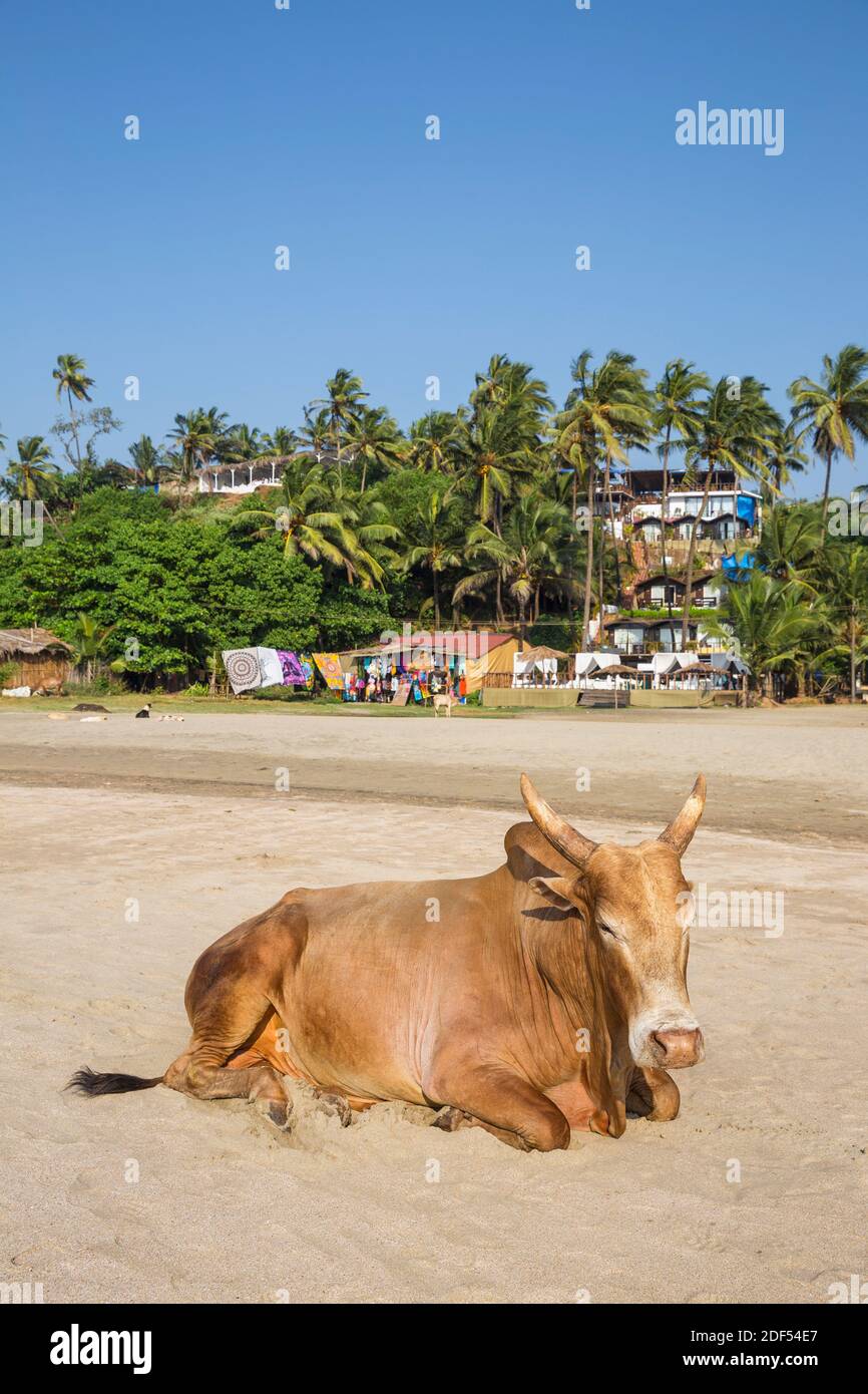 India, Goa, Ozran Beach known as Little Vagator Beach Stock Photo - Alamy