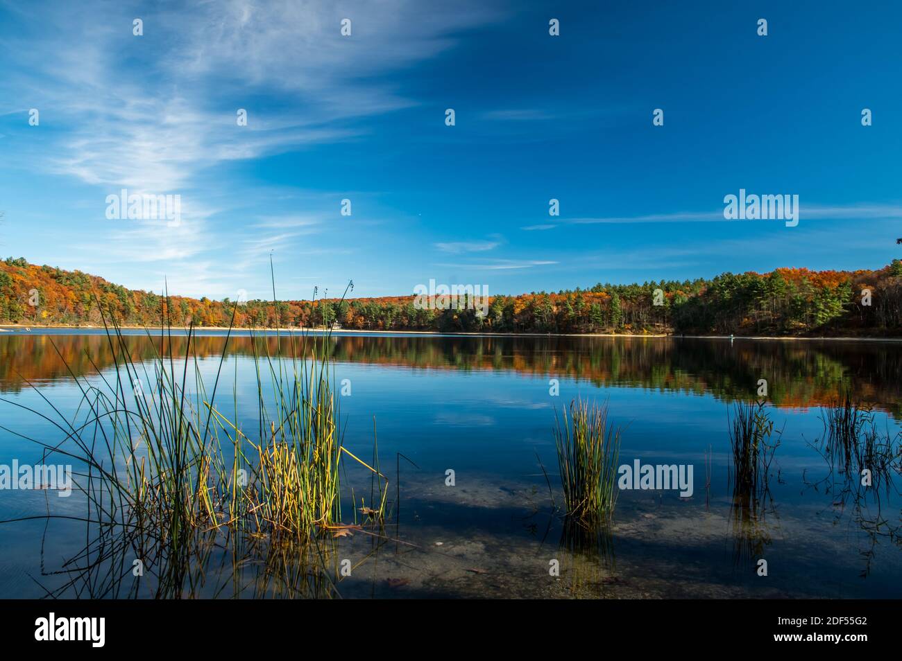 Walden Pond, Massachusetts High Resolution Stock Photography and Images ...