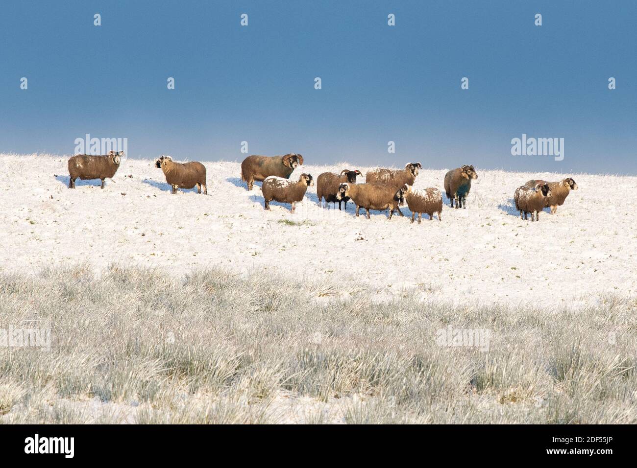 Balfron, Stirlingshire, Scotland, UK. 3rd Dec, 2020. UK weather - dark ...