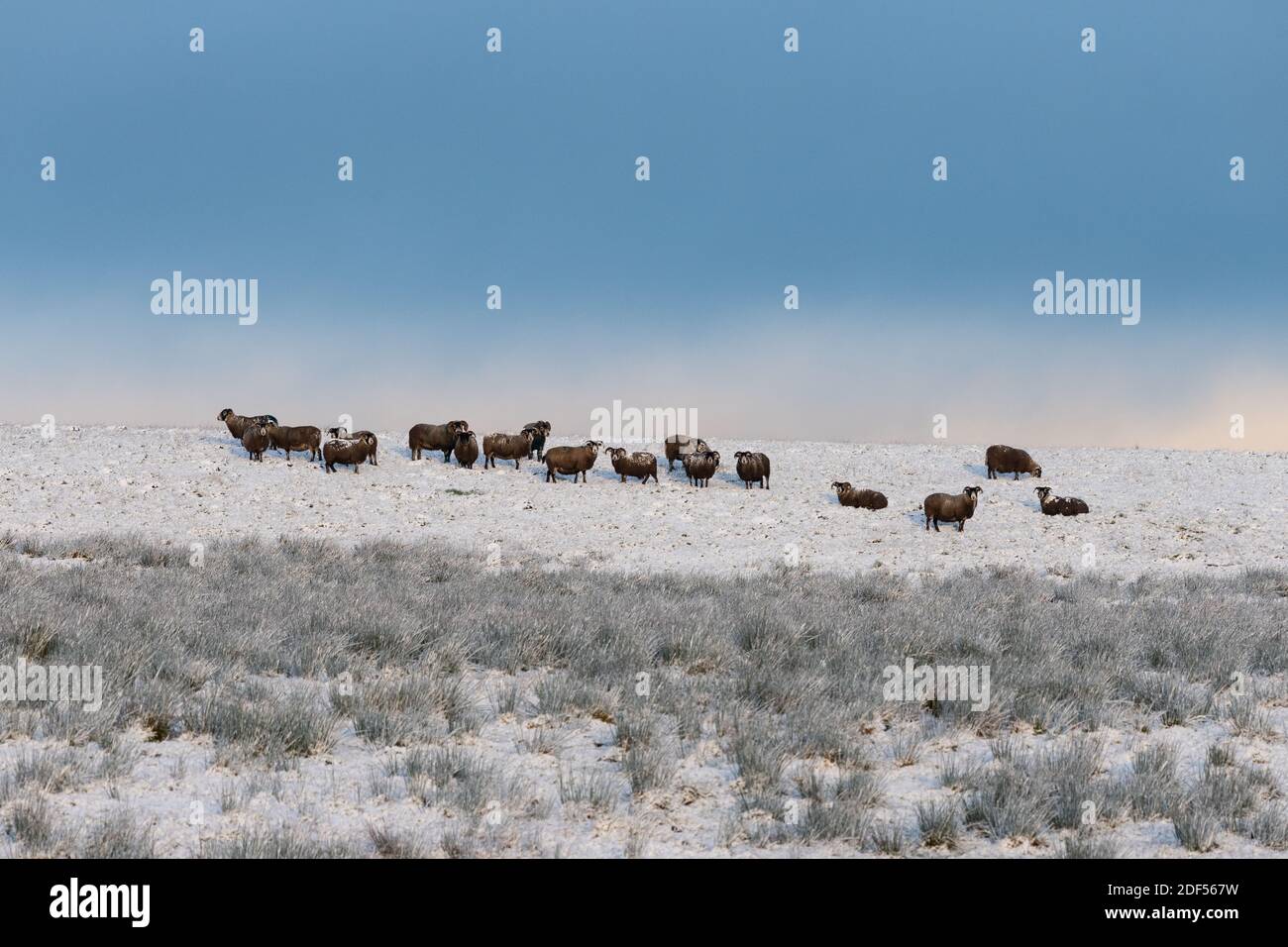 Balfron, Stirlingshire, Scotland, UK. 3rd Dec, 2020. UK weather - dark ...