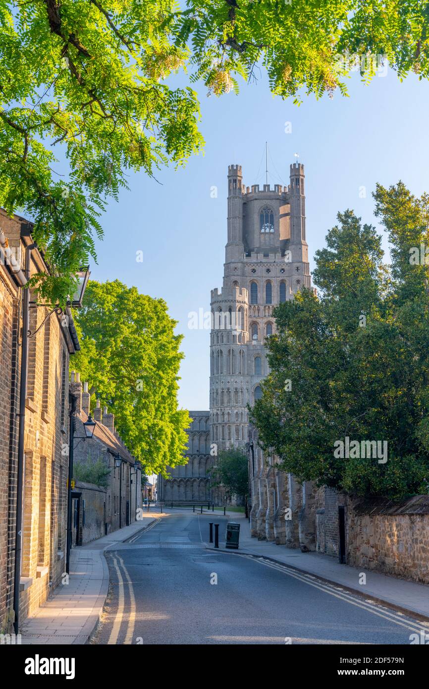 UK, England, Cambridgeshire, Ely, The Gallery, Ely Cathedral Stock ...