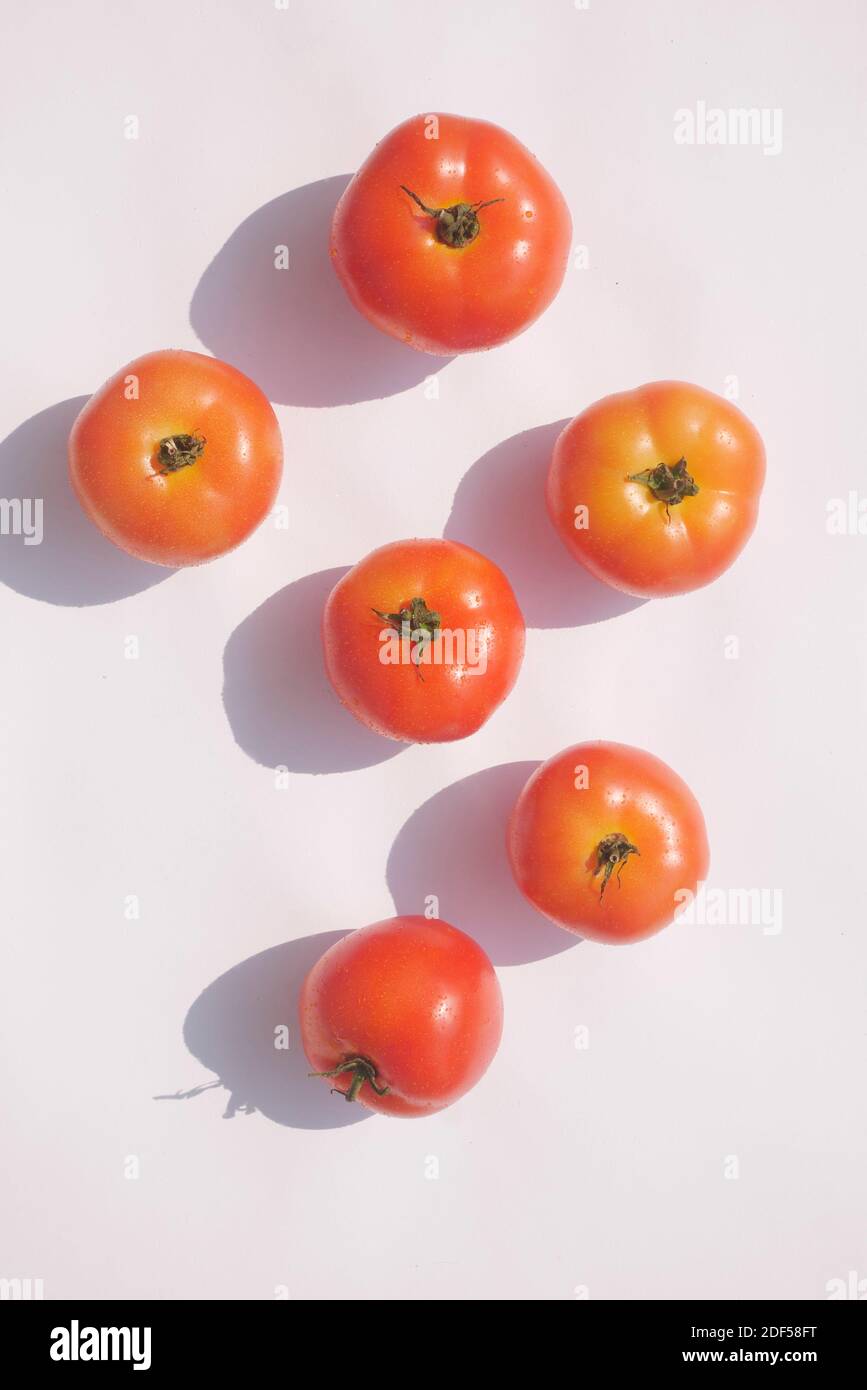 A STILL LIFE OF RED INDIAN NATIVE VARIETY TOMATOES Stock Photo - Alamy