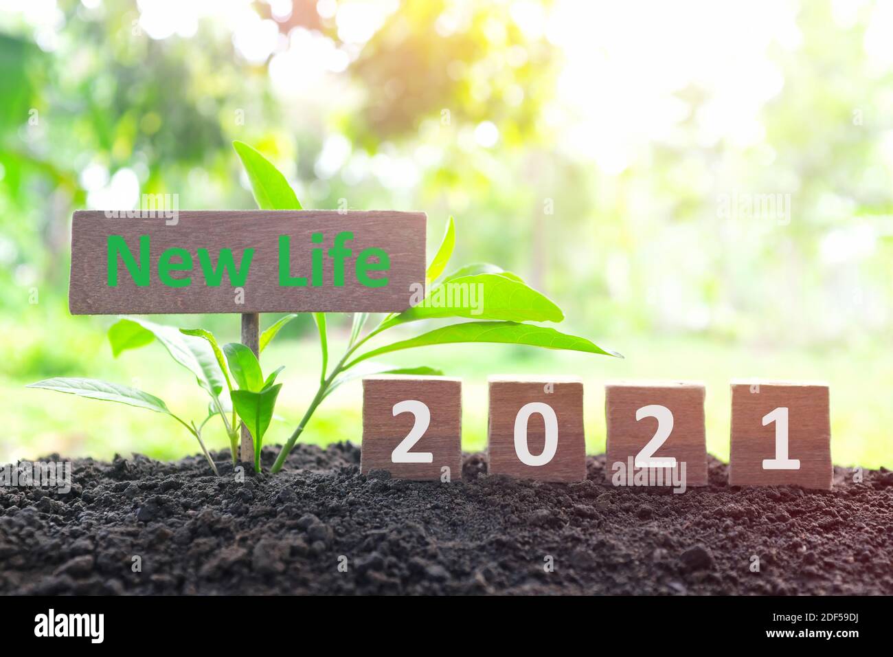 2021 new year new life concept. Year 2021 in wooden blocks on natural ...
