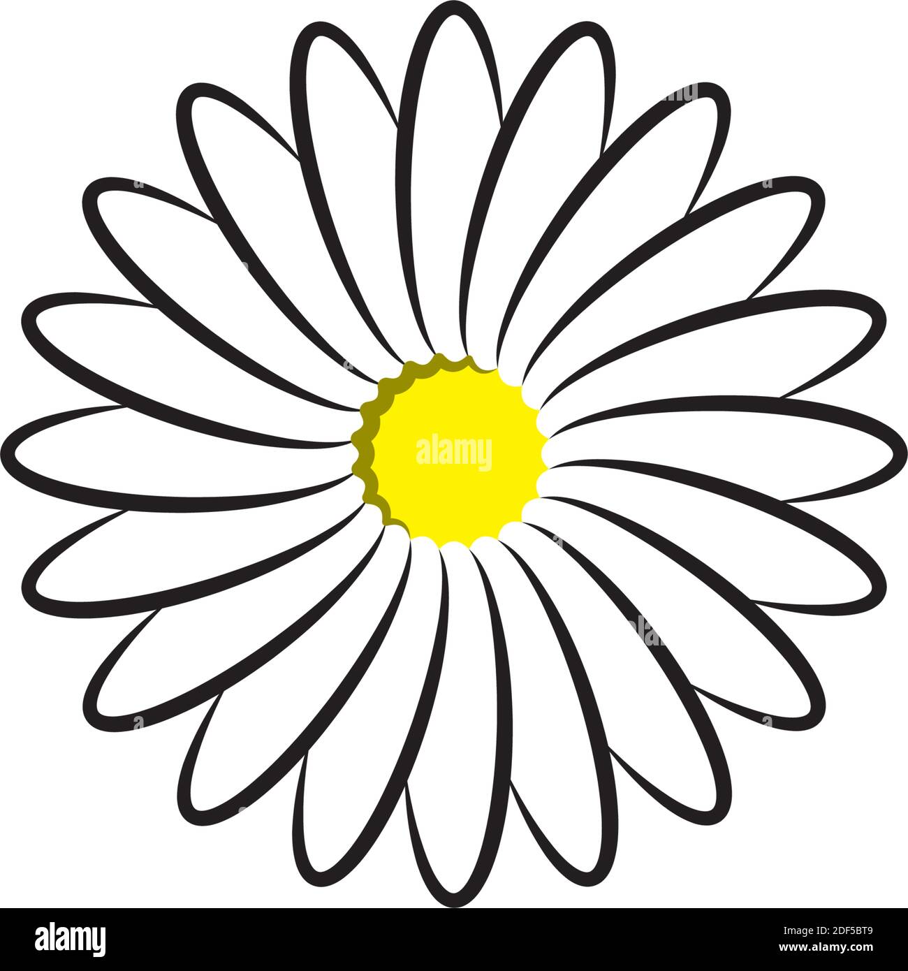 chamomile logo flower plant herb icon Stock Vector Image & Art - Alamy
