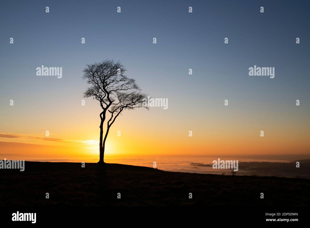 Roundway wiltshire hi-res stock photography and images - Alamy