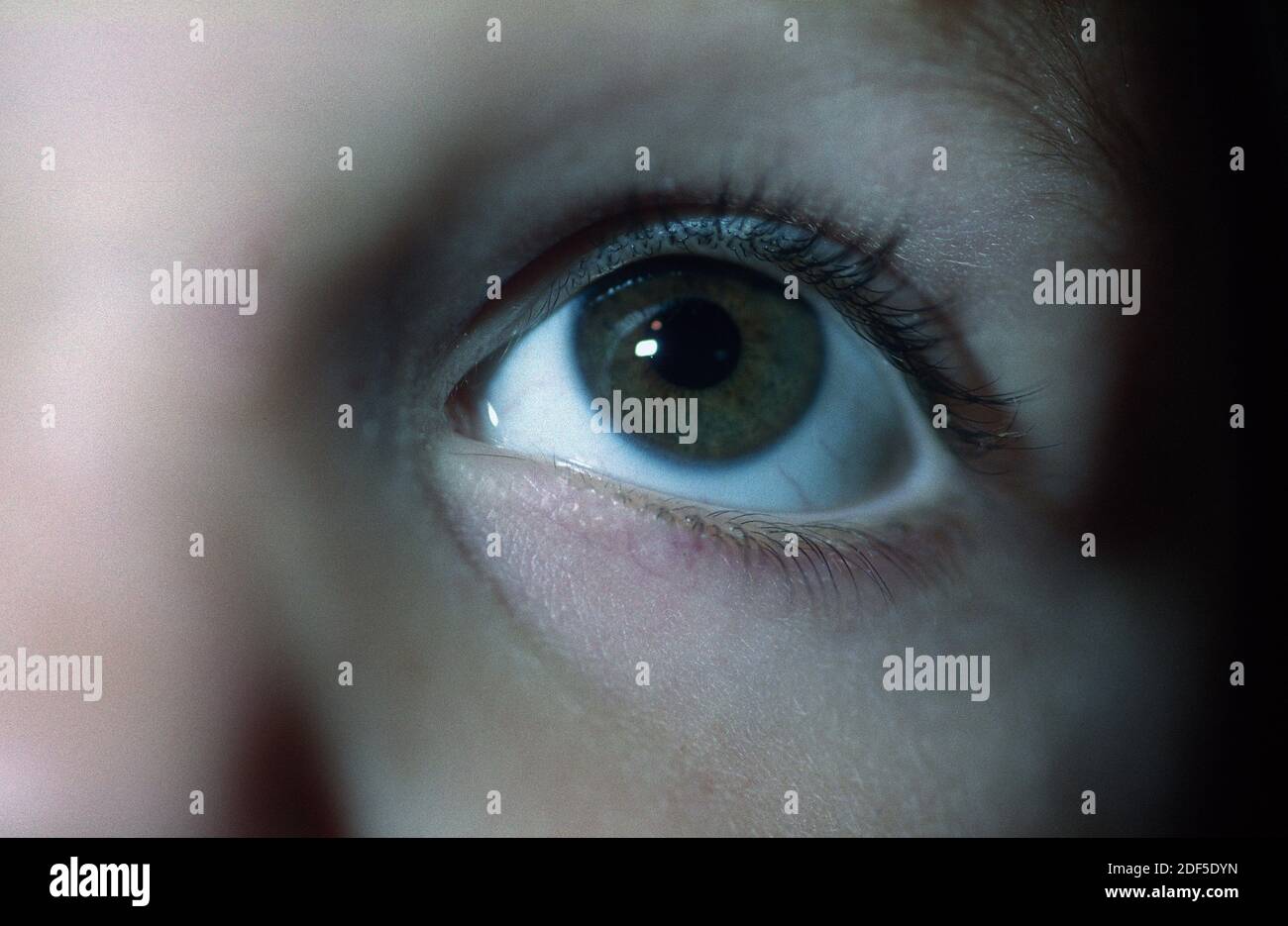 Left eye of a three year old girl - 1992 Stock Photo - Alamy