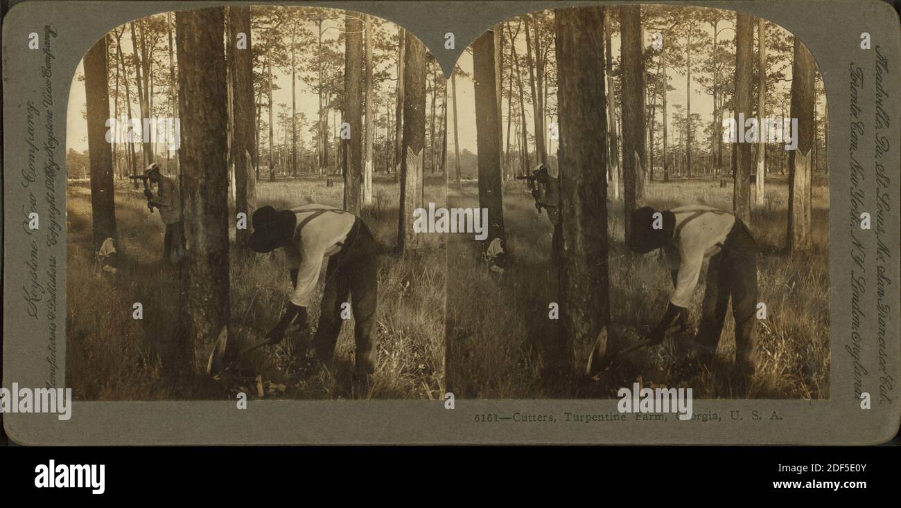 Cutters at Turpentine Farm, Georgia., still image, Stereographs, 1850 ...