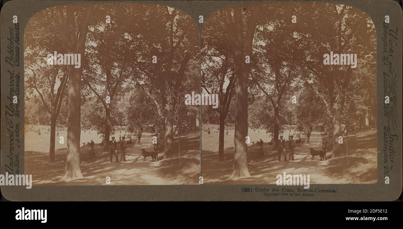1894 boston hi-res stock photography and images - Alamy
