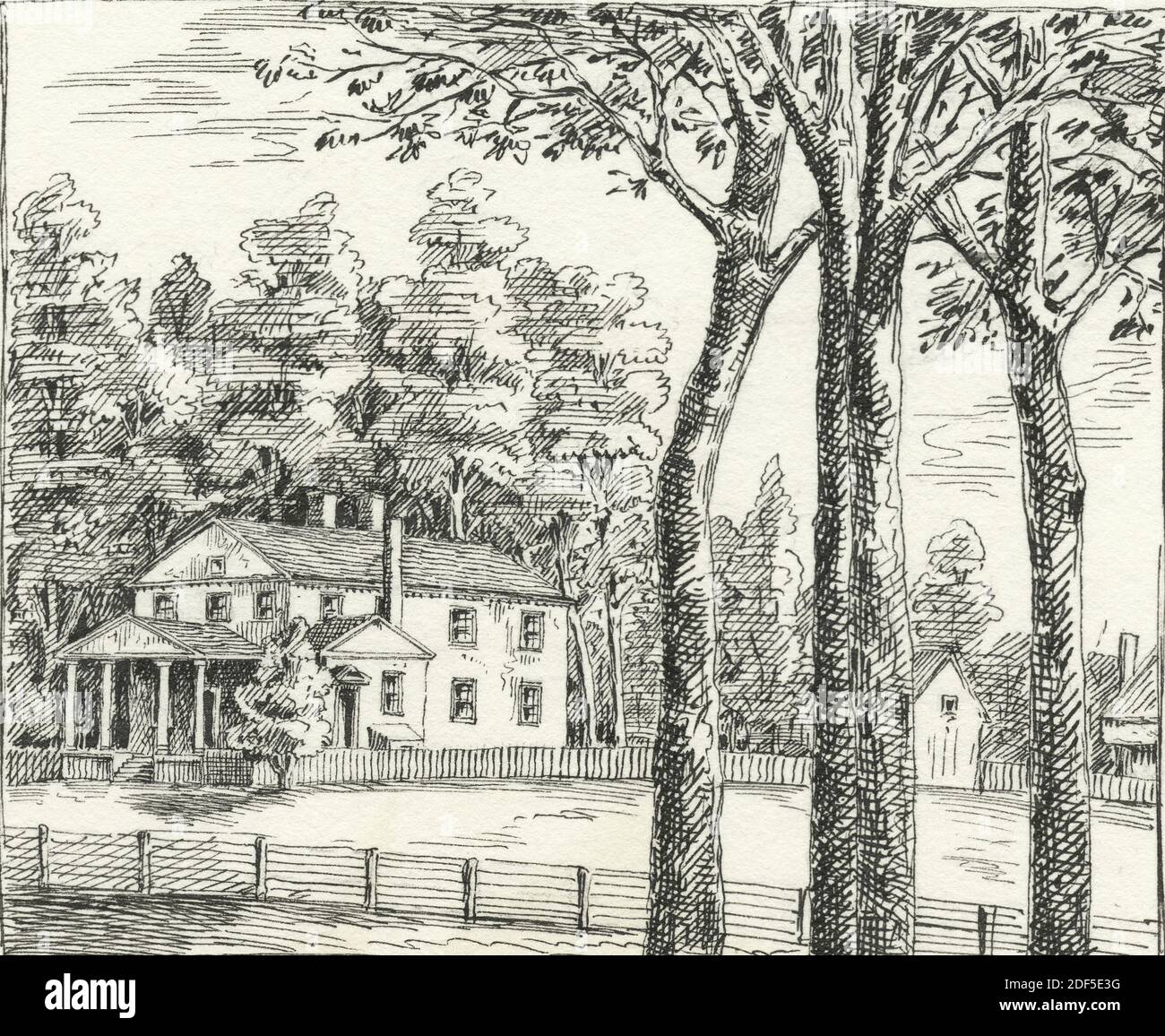 David c jones hi-res stock photography and images - Alamy