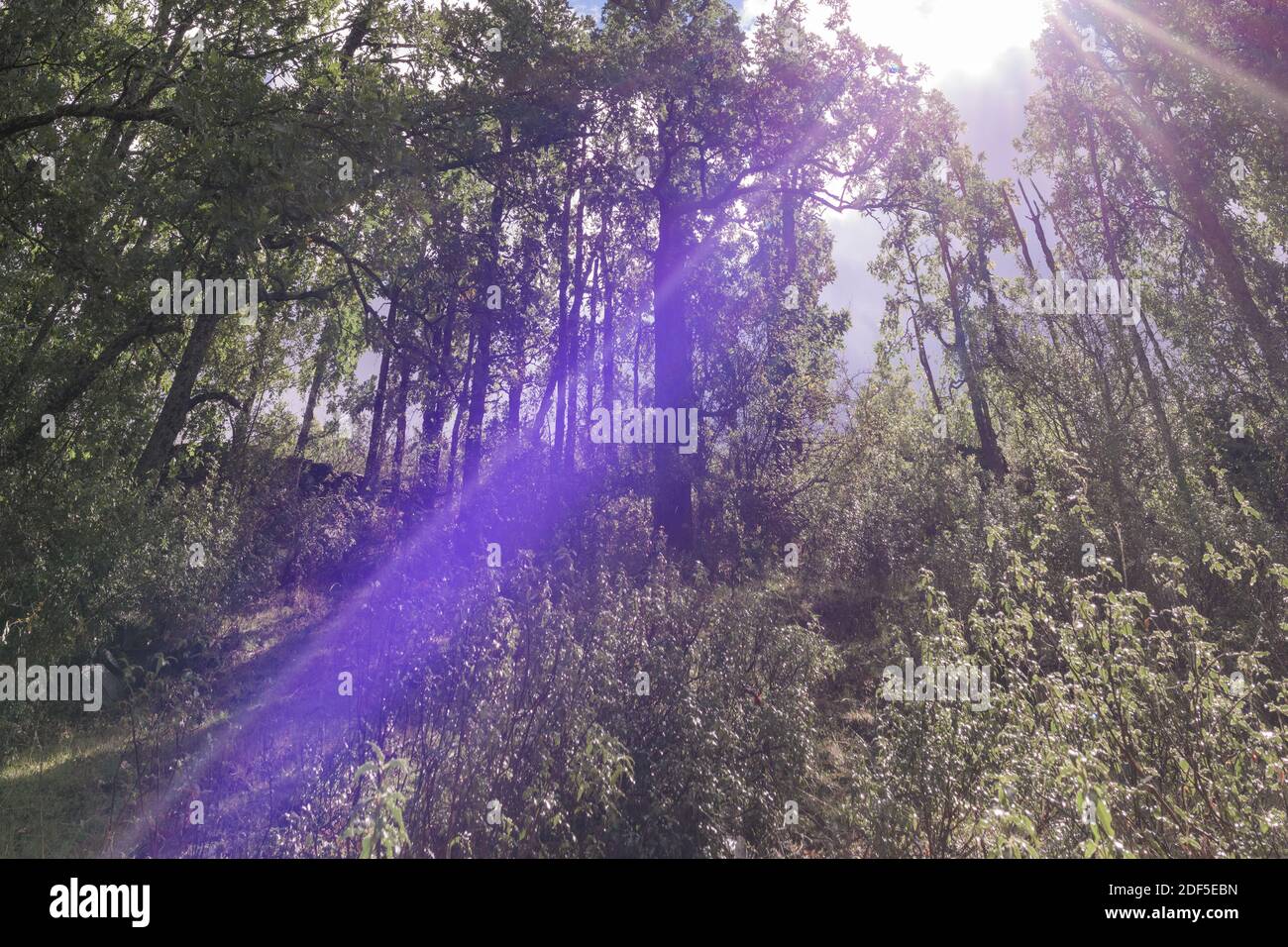 Setting plaster hi-res stock photography and images - Alamy