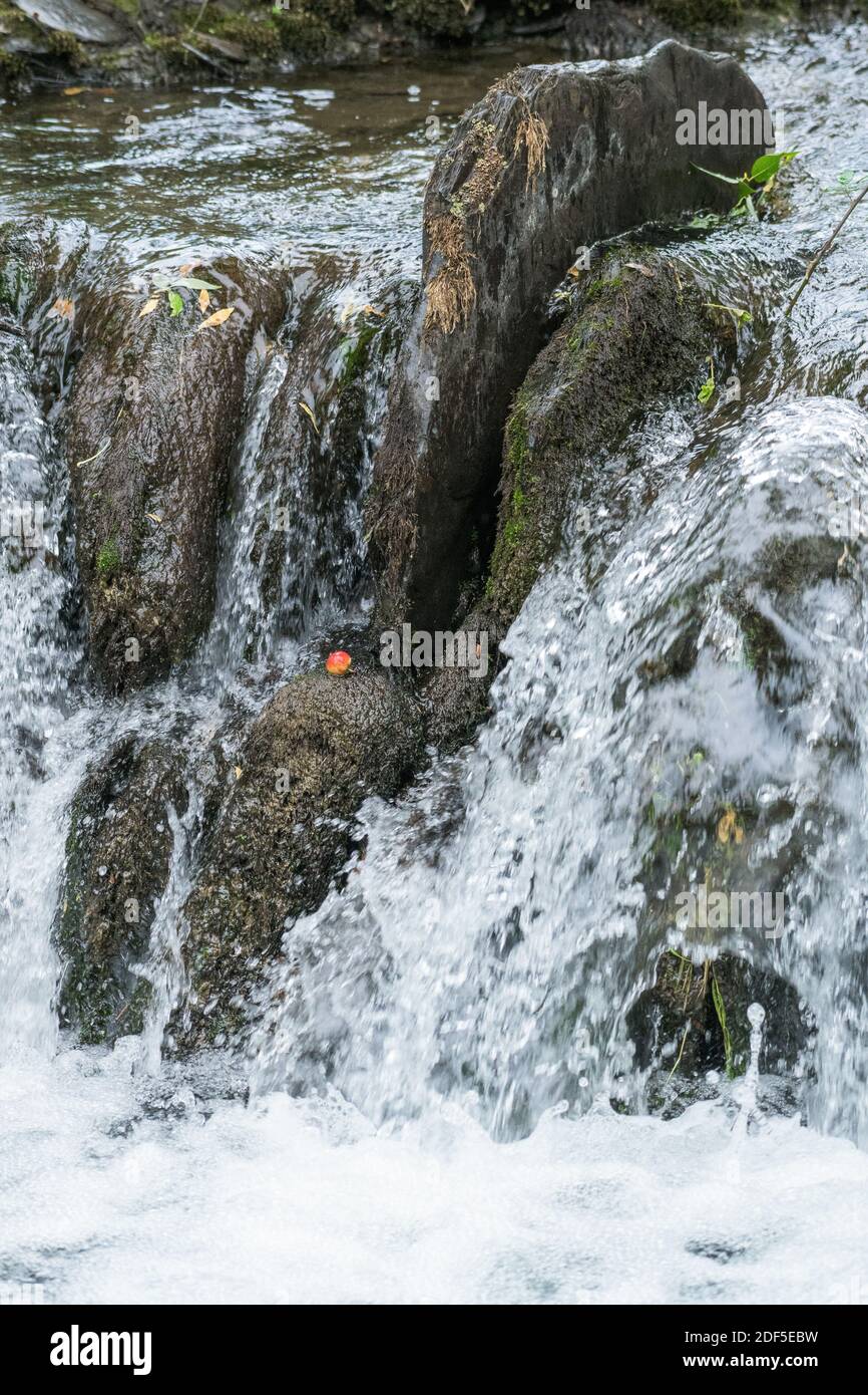 Indonesia vertical orientation hi-res stock photography and images - Alamy