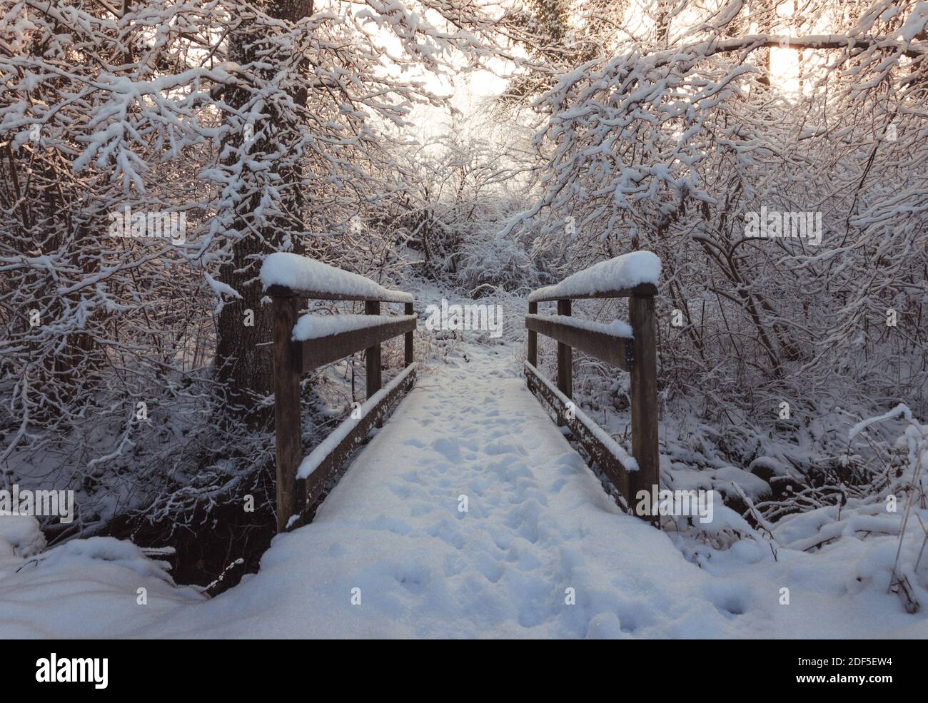 snow covered wooden bridge with foot steps in front of forest in the ...