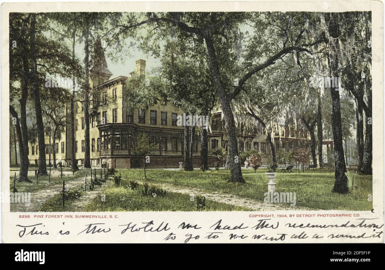 Pine forest inn hi-res stock photography and images - Alamy