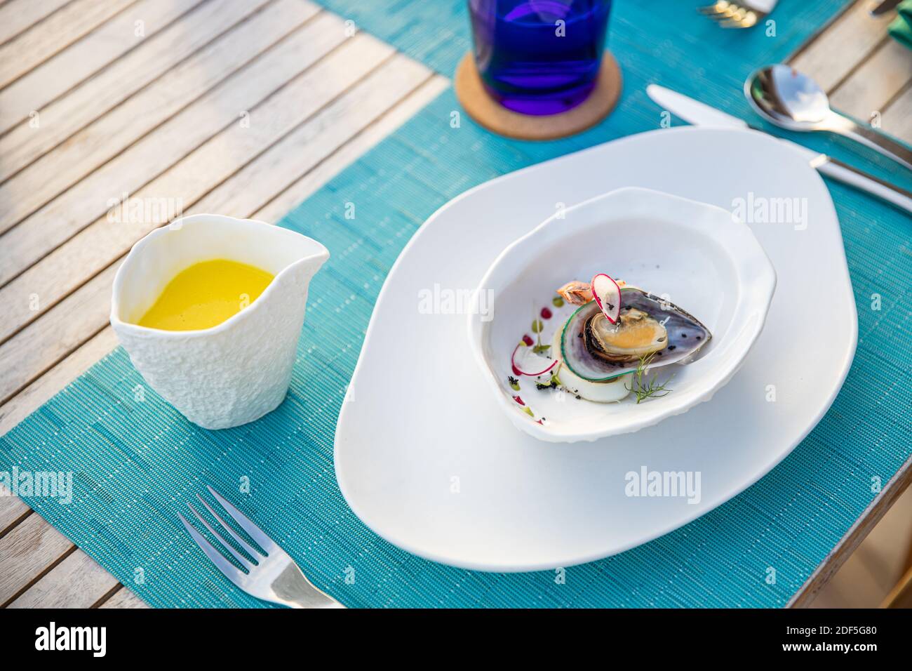 Food dish dinner elegant. Food gourmet plate meals luxury lifestyle ...