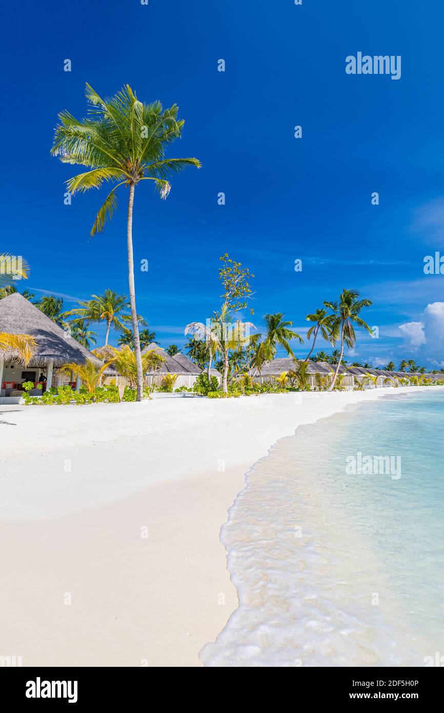 Tropical beach vertical panoramic banner. Amazing summer landscape ...