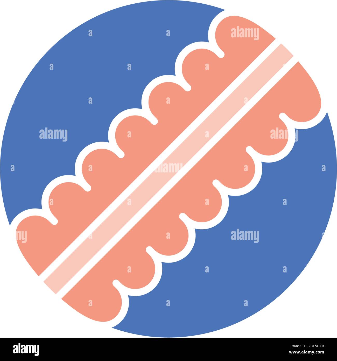 Bowel digestion Stock Vector Images - Alamy