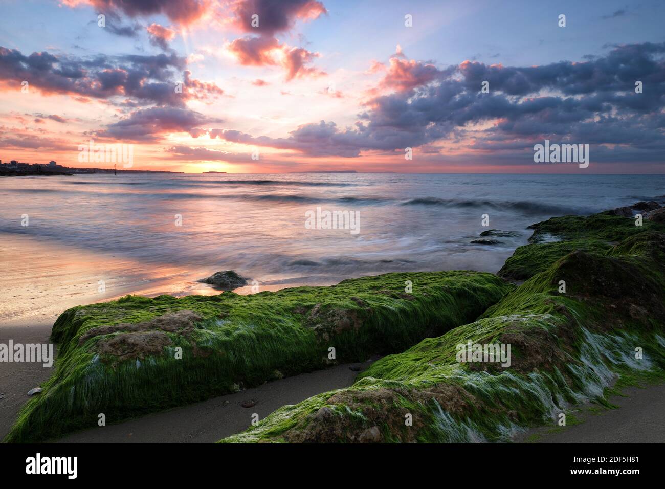 Moss covered rocks in sea hi-res stock photography and images - Alamy