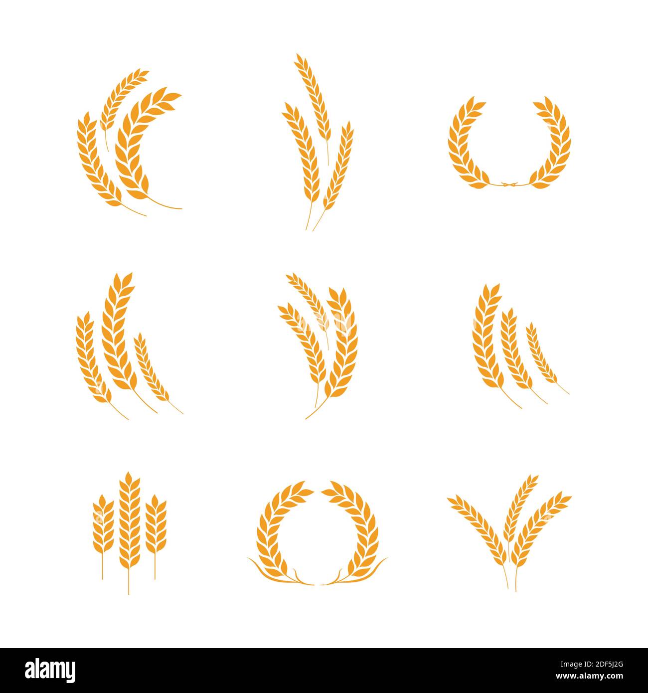 Agriculture wheat vector icon design Stock Vector Image & Art - Alamy