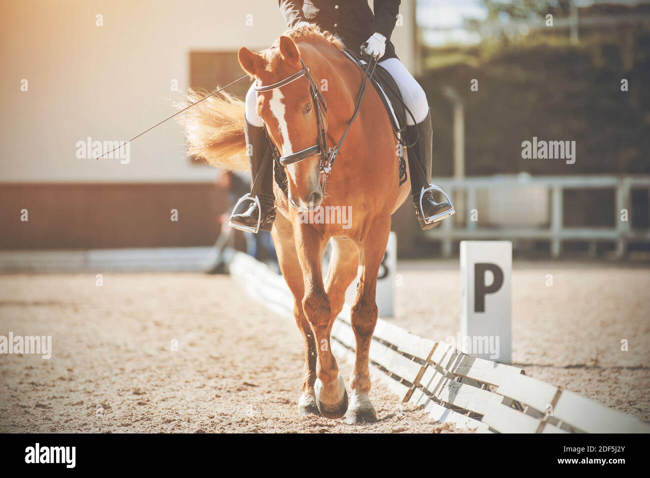Competitions rivalry hi-res stock photography and images - Alamy