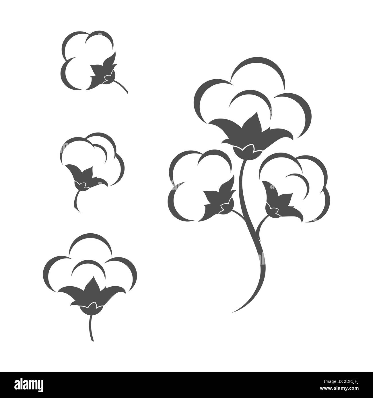 Cotton flower vector icon template symbol nature Stock Vector Image ...