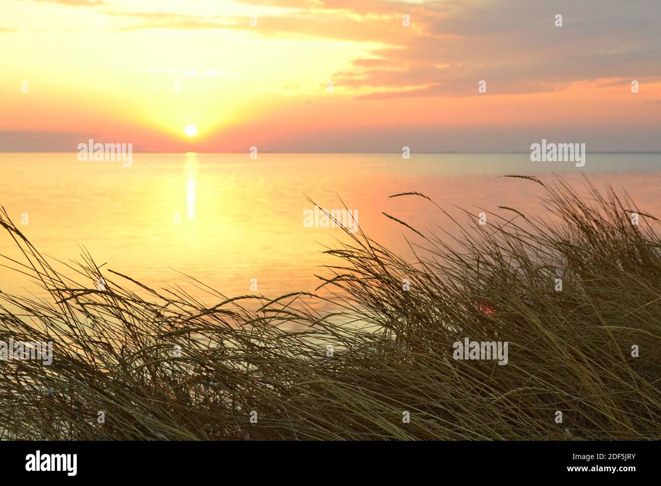 Beautiful sunset black sea hi-res stock photography and images - Alamy