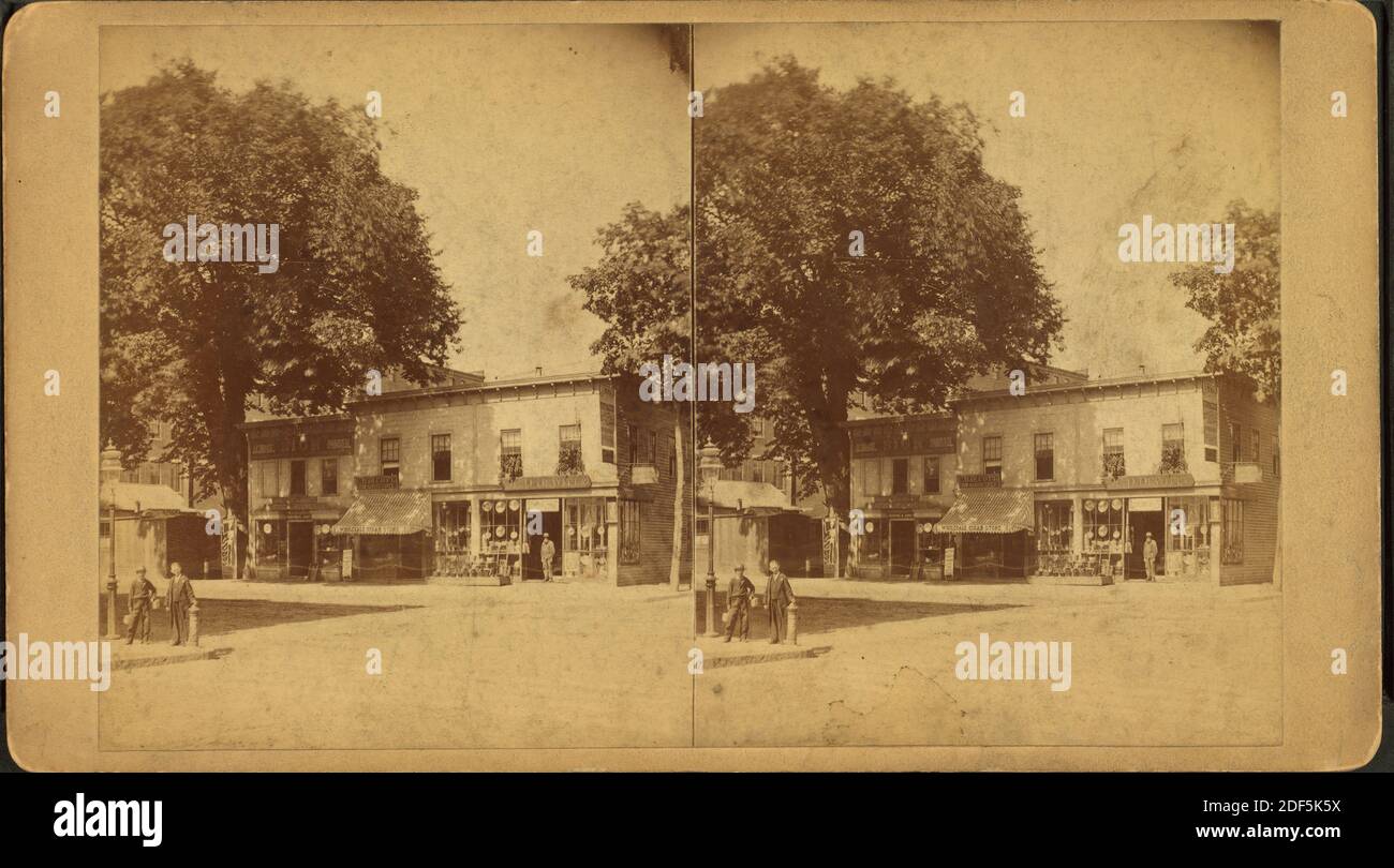 Bridge and Main Street., still image, Stereographs, 1850 - 1930, Warner ...