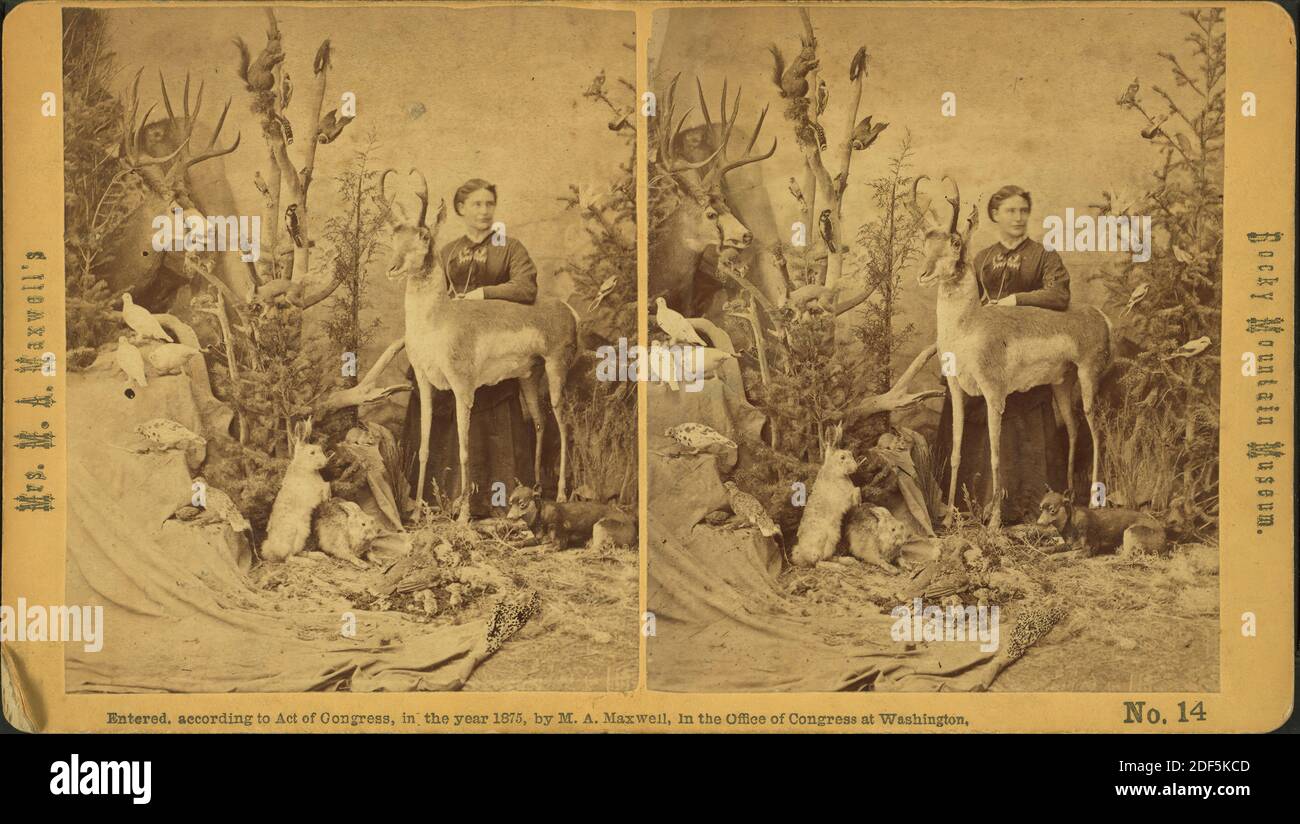 Mrs maxwell hi-res stock photography and images - Alamy