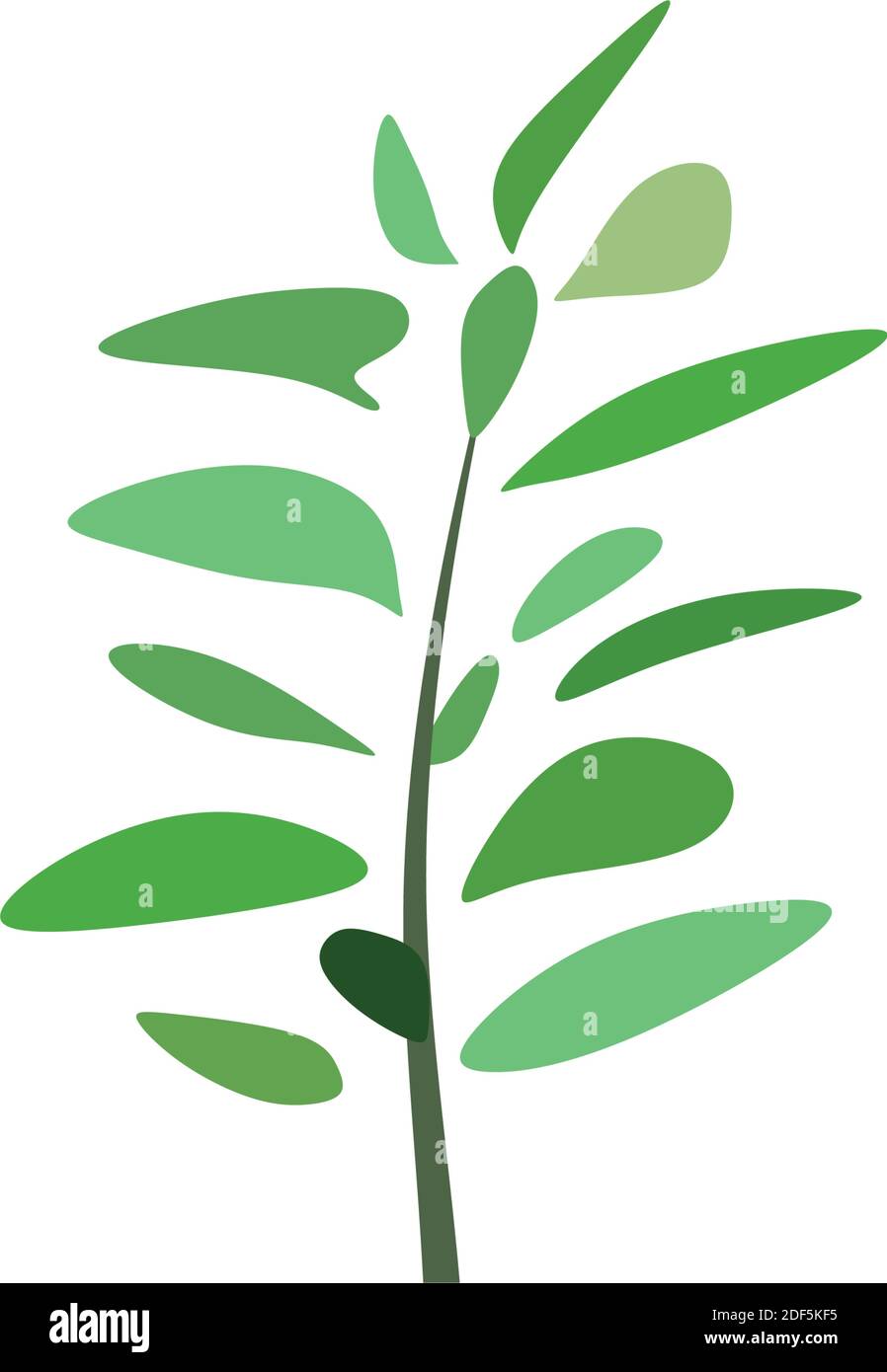 mint plant logo illustration icon Stock Vector Image & Art - Alamy