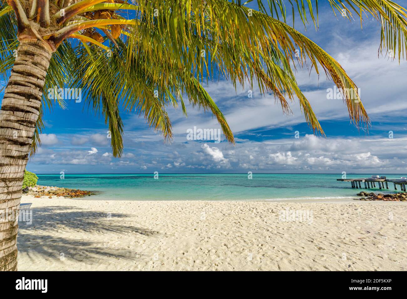 Tropical beach background as summer landscape with beach swing or ...