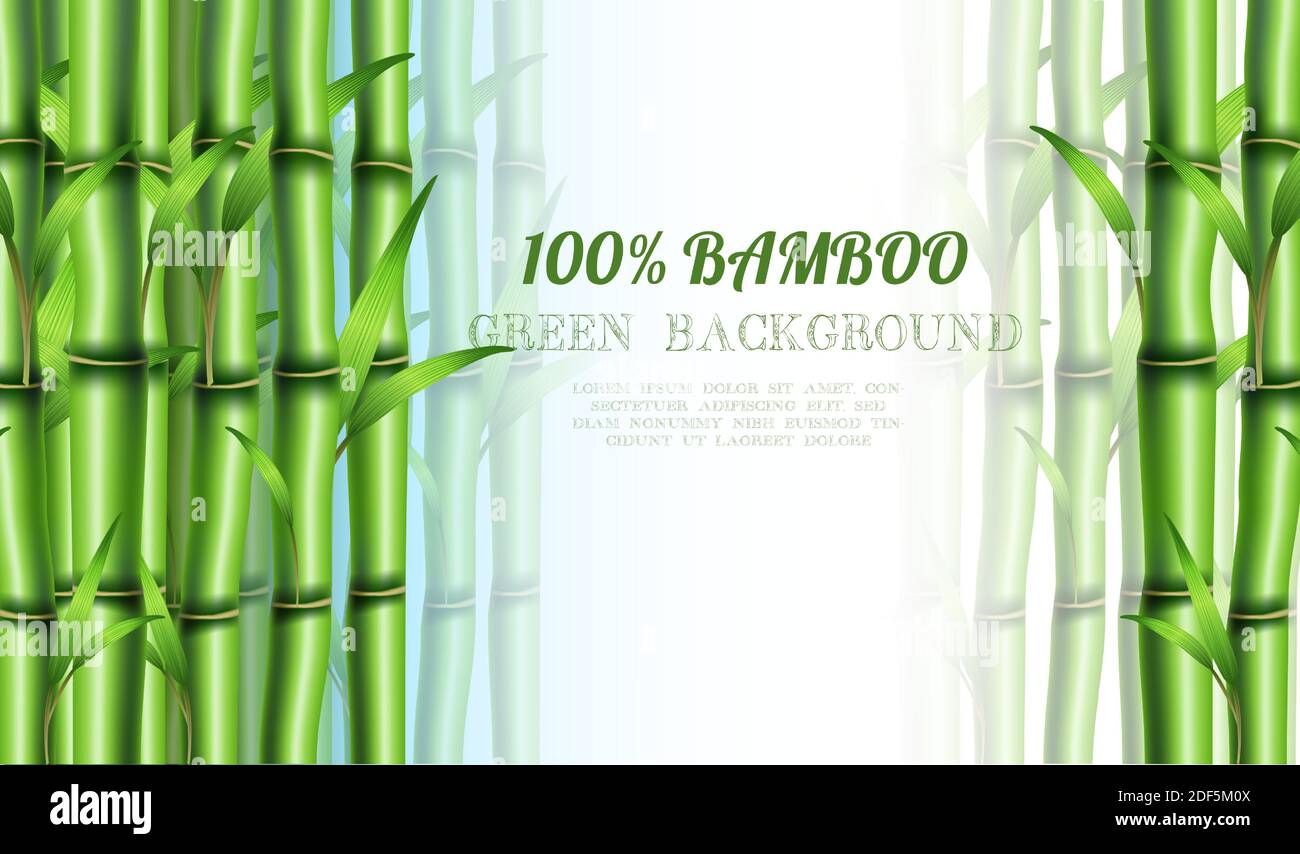 realistic bamboo eco background. With copy space for your text Stock ...