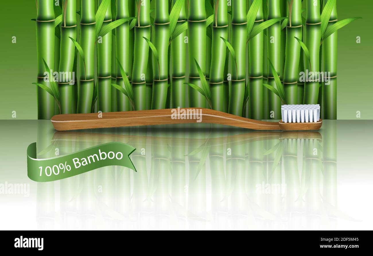 realistic bamboo toothbrush on a bamboo plant background. Zero waste ...