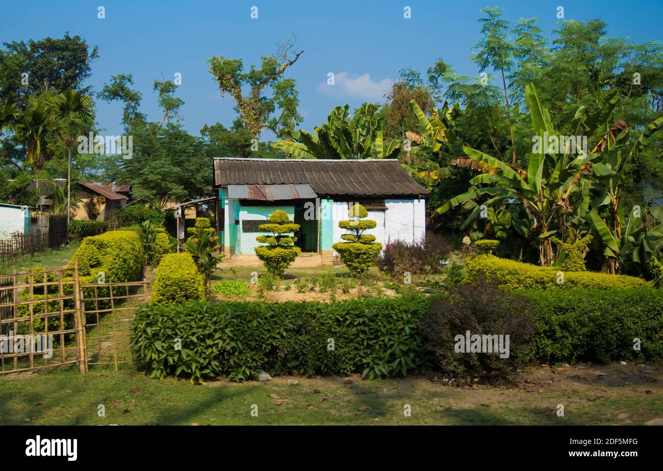 Traditional type of house in Northeast India, nice green trees Stock ...