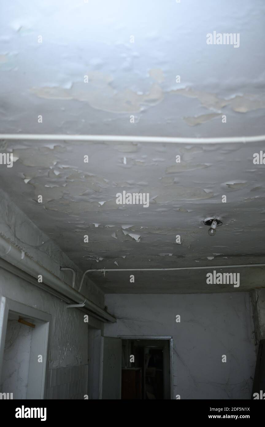 A high angle shot of the moisture-damaged ceiling Stock Photo - Alamy