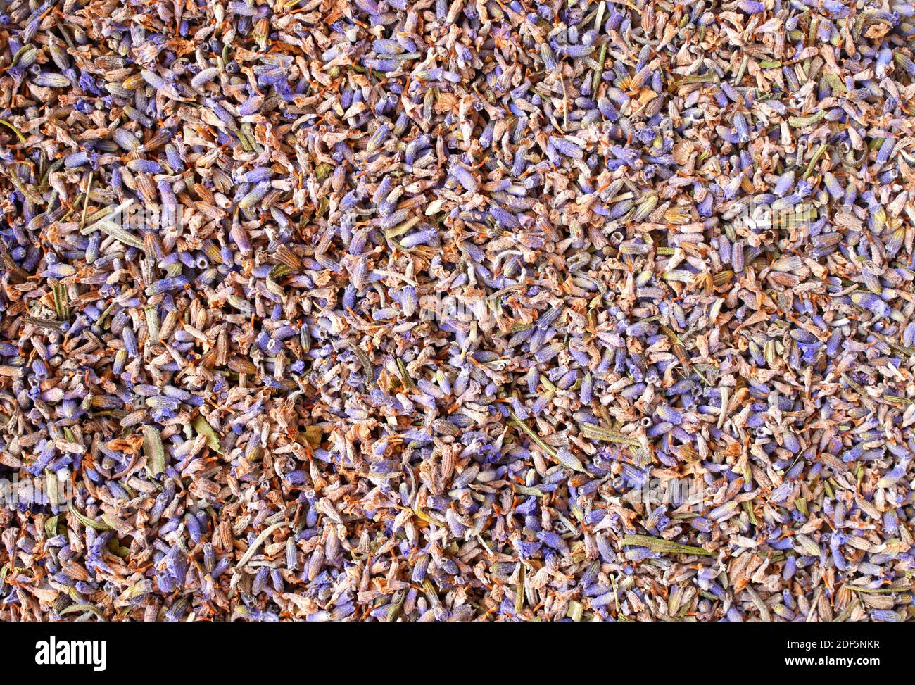 Cooking lavender hi-res stock photography and images - Alamy