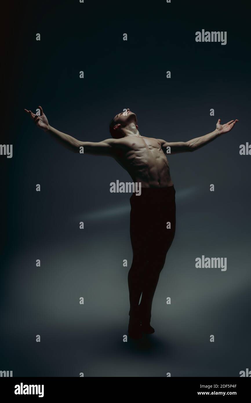 Inspiration. Young graceful male ballet dancer in minimal black style ...