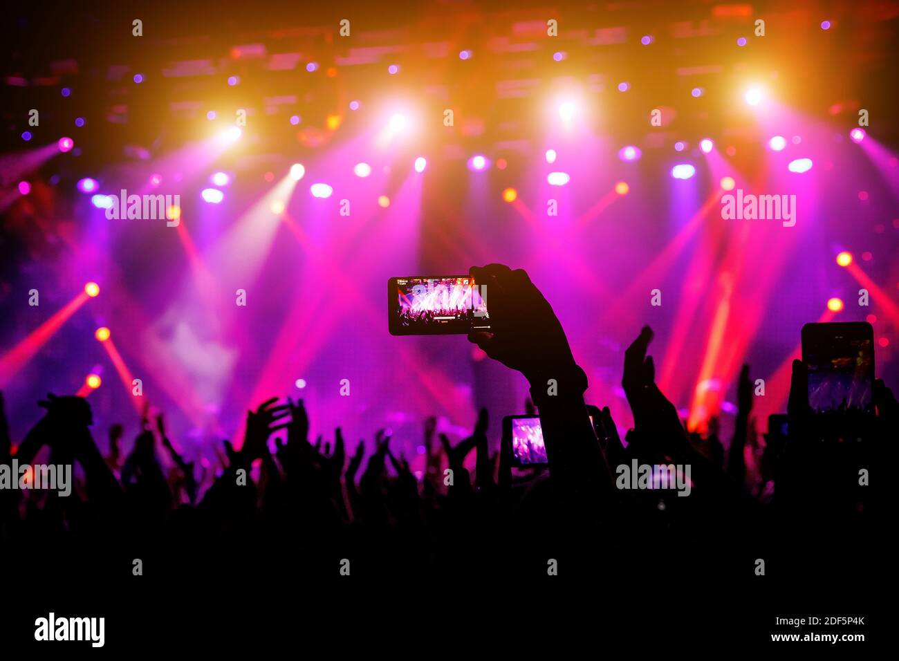 Smartphone in hand at a concert, purple light from stage Stock Photo ...
