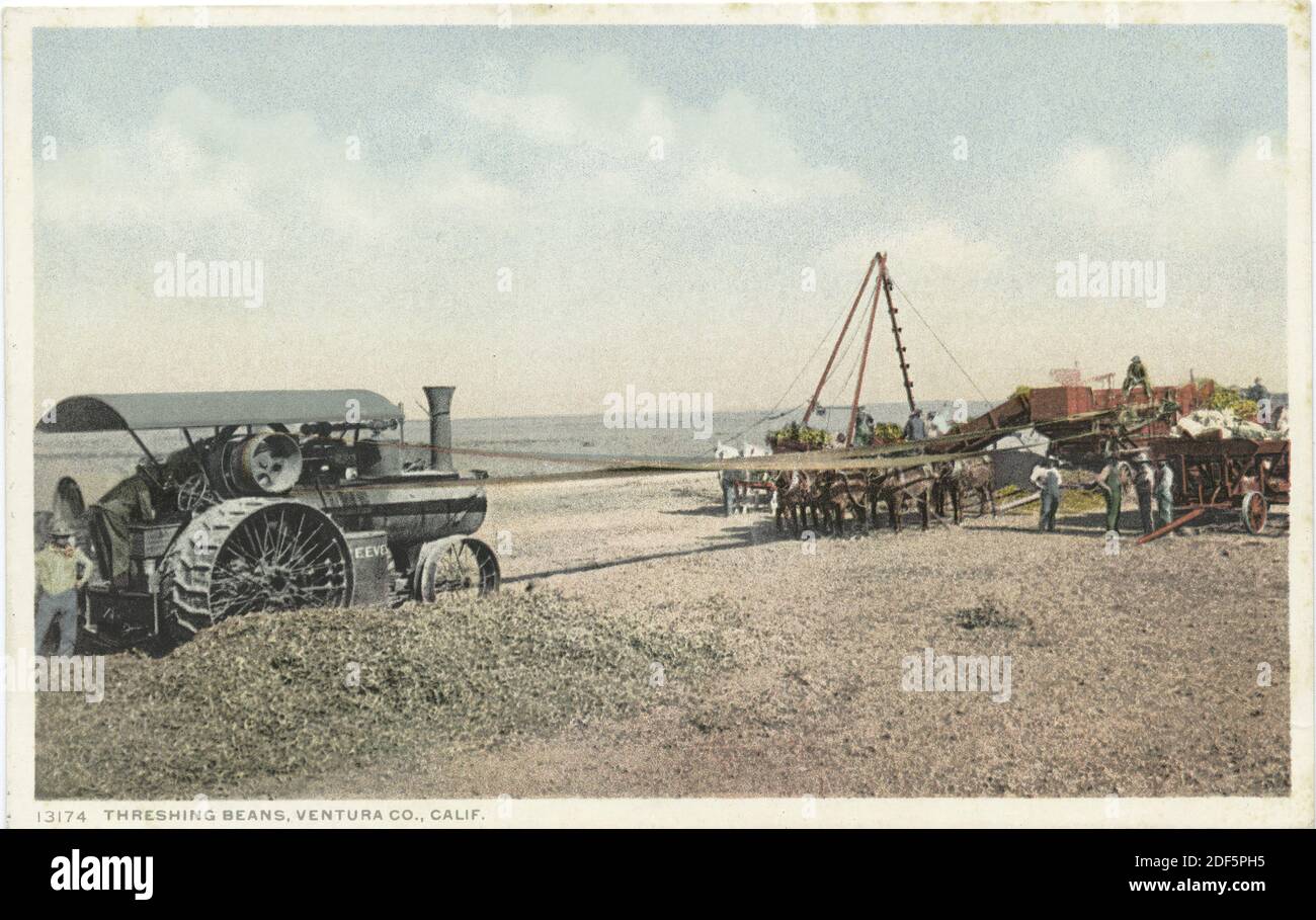 Threshing beans hi-res stock photography and images - Alamy