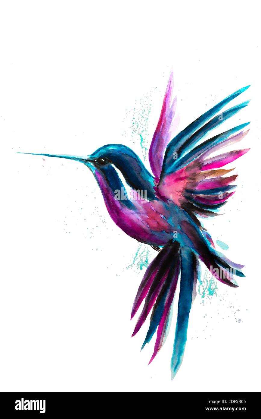 Watercolor Hummingbird flying and isolated on white background. Rainbow ...